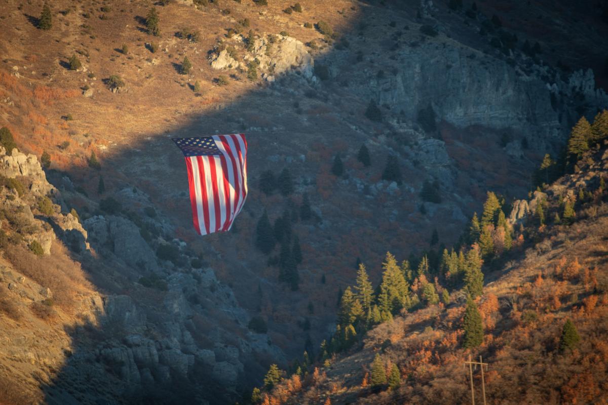 November 2020 days to fly the flag | Millard Fillmore's Bathtub